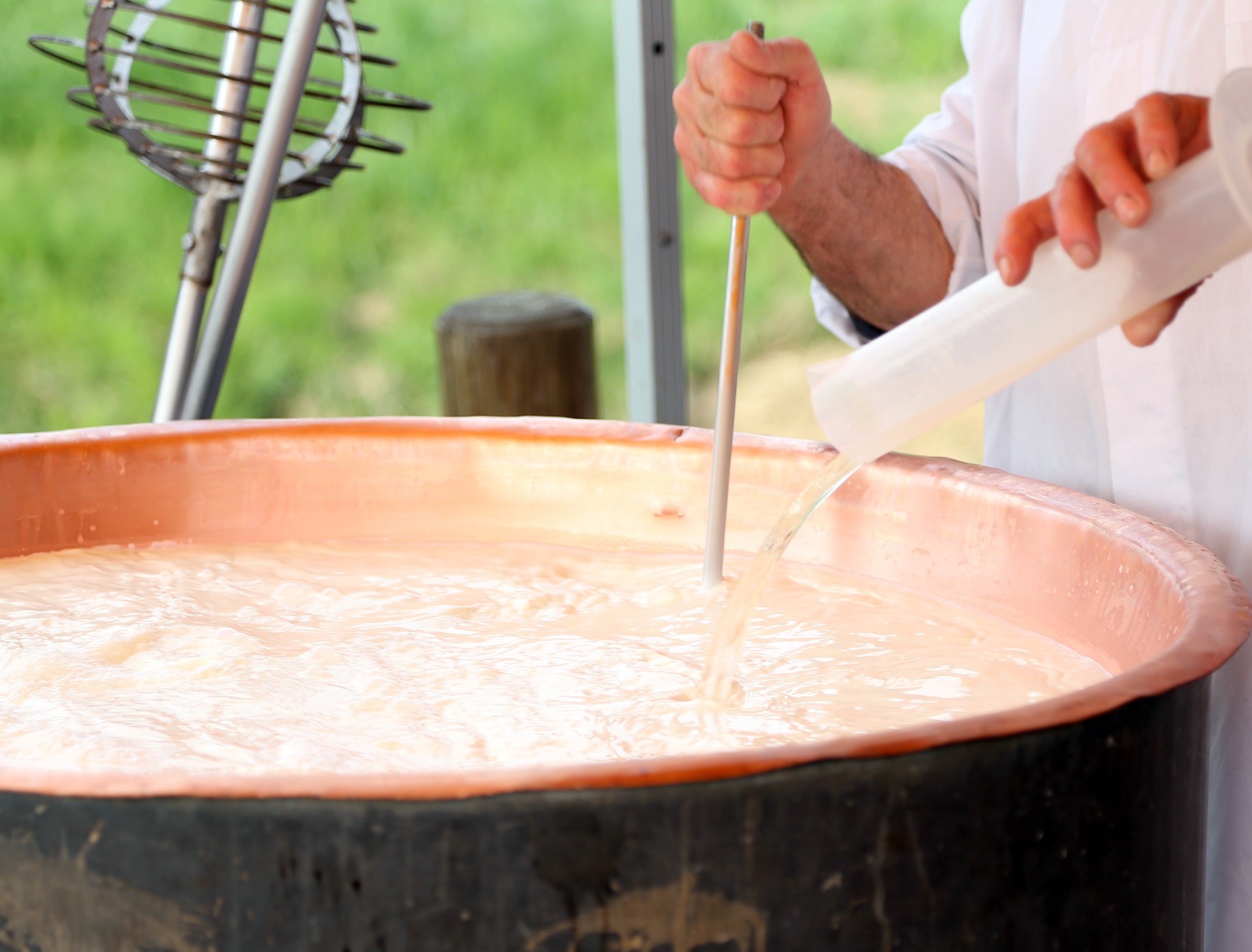 ¿Es saludable comer queso y derivados lácteos? - EsQueso